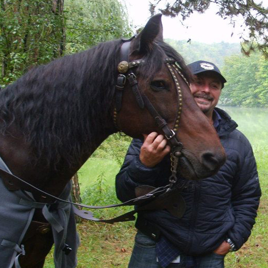 carriages - filmpferde